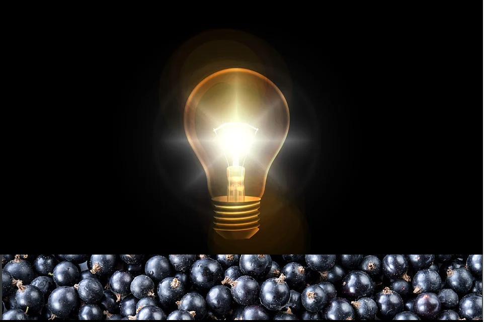 Our New “Eureka” Word: Why We Say “Blackcurrants” – Kiwi Superfoods Ltd